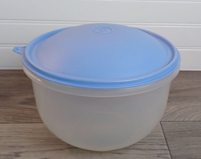 Vintage Tupperware 1424 Crisp-it Sheer Lettuce Keeper With Blue Domed ...