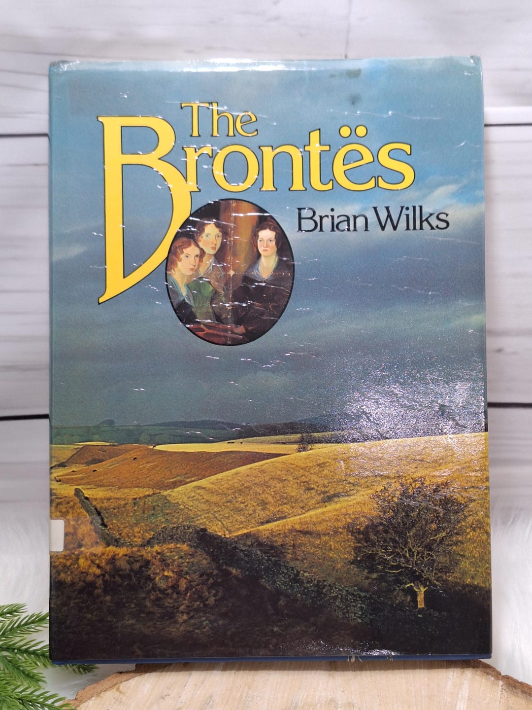 The Brontes, by Brian Wilks, Historic Coffee Table Book, Vintage 1975 ...