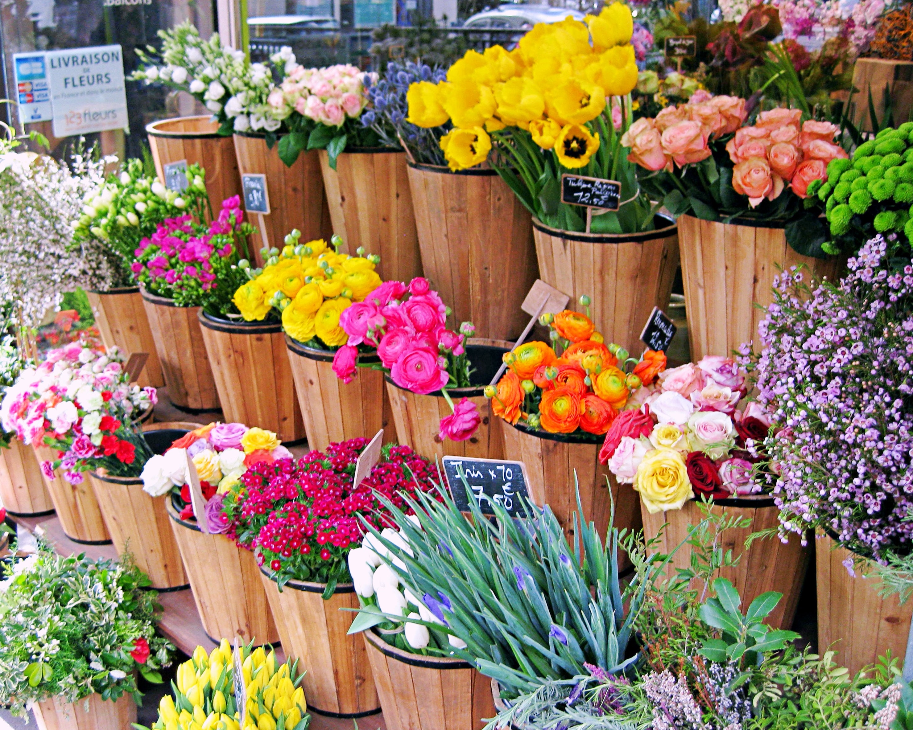 Paris Flowers Photo Print, Colorful Paris Photography, Paris Fine Art ...