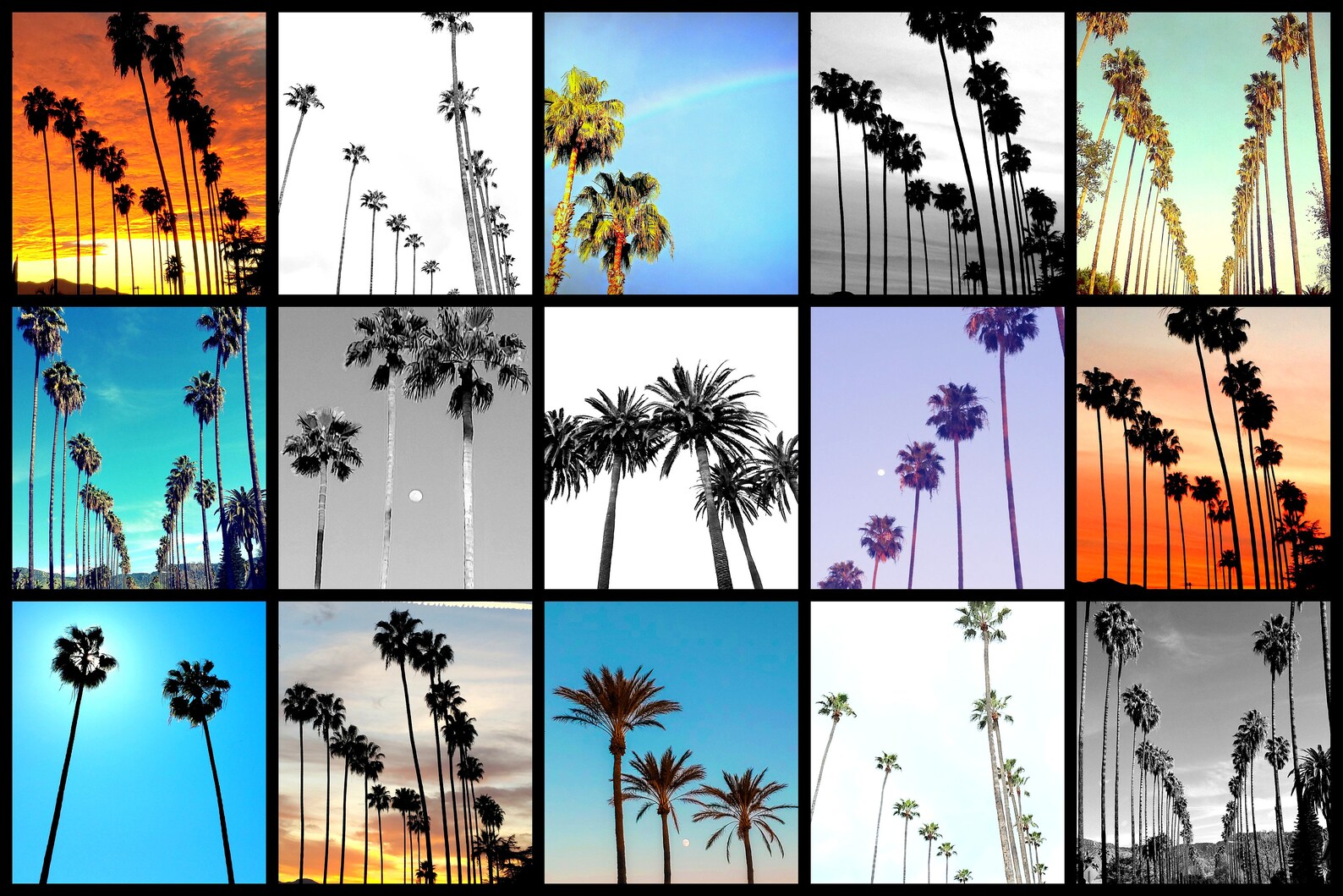California Palm Trees Collage Photo Print California Wall - Etsy