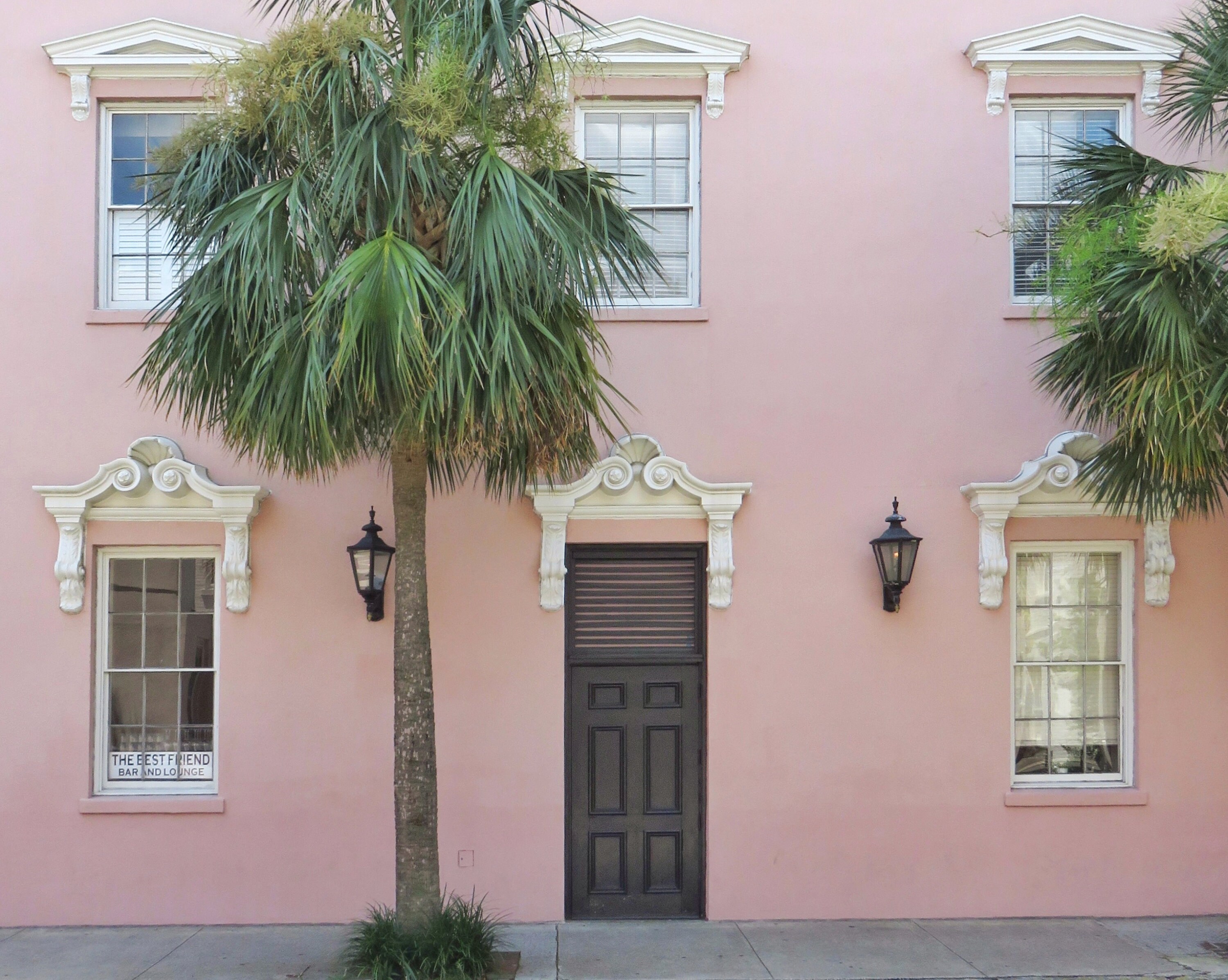 Pink Building and Palm Tree in Charleston, SC Photo Print. Pink Mills ...
