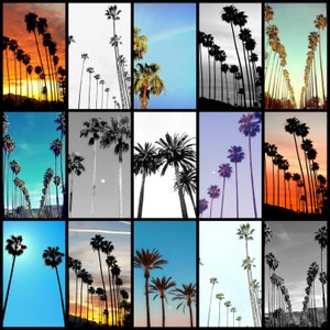 California Palm Trees Collage Photo Print, California Wall Art, Palm ...