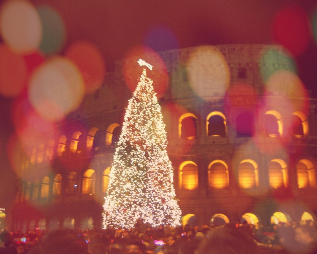 Roman Colosseum Christmas Tree. Colosseum Photography, Rome Italy ...