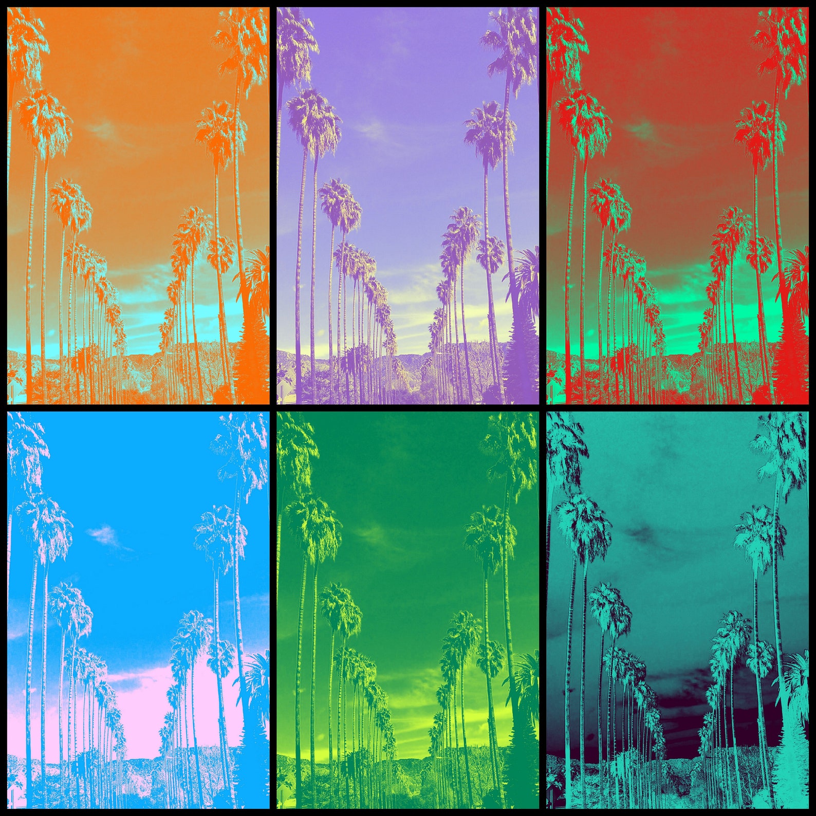 Pop Art Palm Tree Photo Print, Palm Tree Collage, Pop Art California ...
