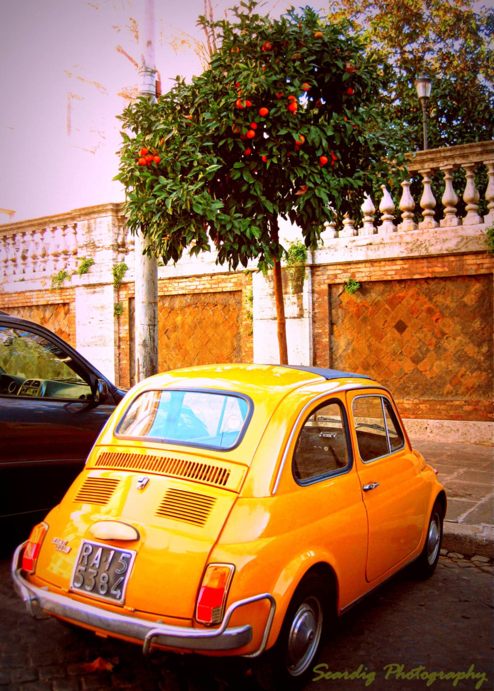 Rome. Vintage Fiat 500 Orange Tree Photo. Wall Art. Decor. Photography ...