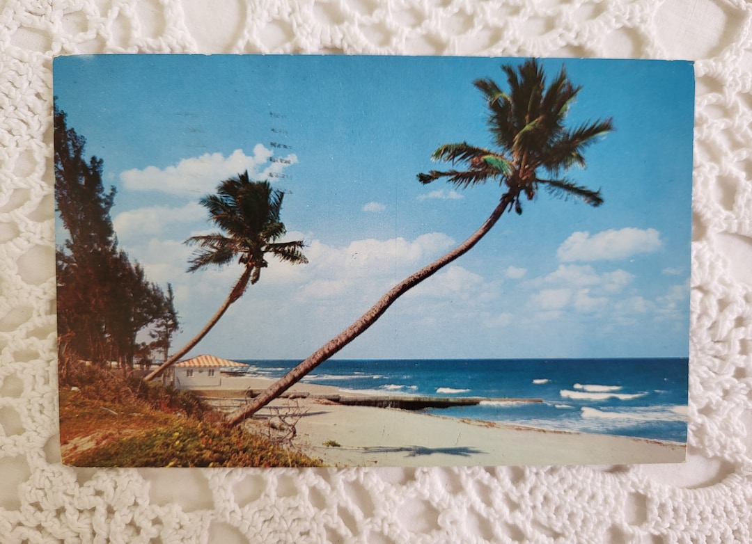 Vintage 1950s Florida Beach Postcard, Beach House Wall Decor - Etsy