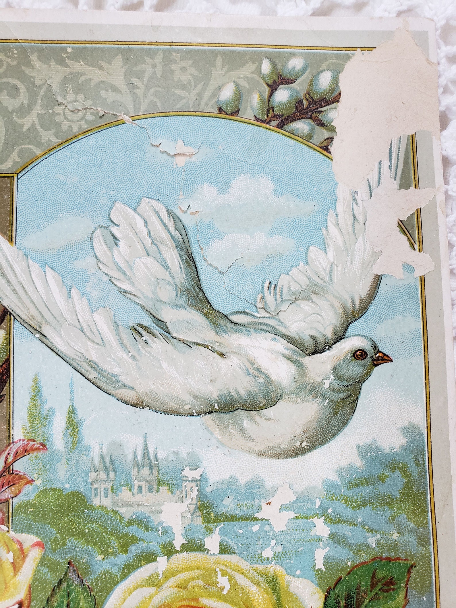 Framed Victorian Dove With Rose, Boho Shabby Chic Art Illustration ...