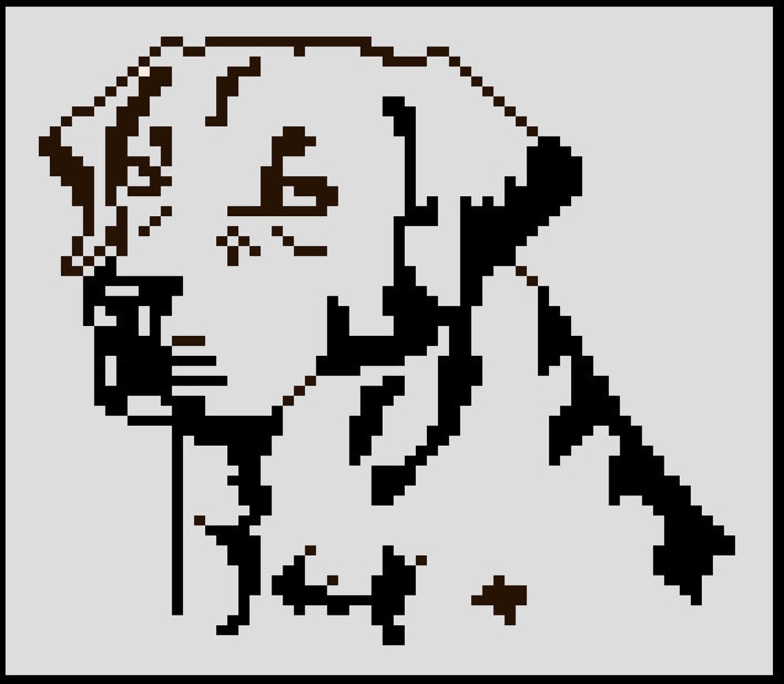 Lab C2c Graph Crochet Pattern With Color Chart Instructions. - Etsy