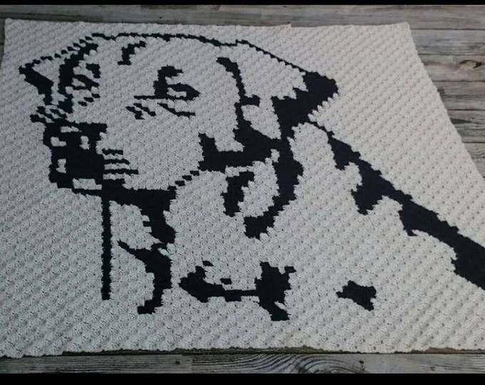 Pug Puppy Mini C2c Graph With Written Color and Block Count Intructions ...