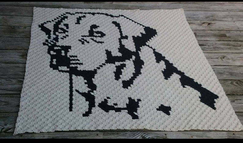 Lab C2c Graph Crochet Pattern With Color Chart Instructions. - Etsy