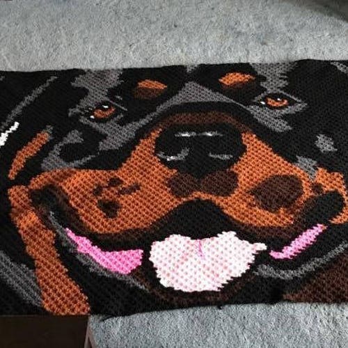 SEA TURTLE MINI C2C Graph Pattern With Written Row by Row - Etsy