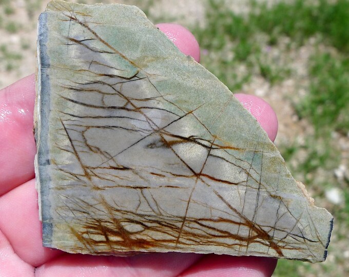 Picasso Marble Slab Natural Picasso Jasper Slab 64x55x6.3mm Unpolished ...