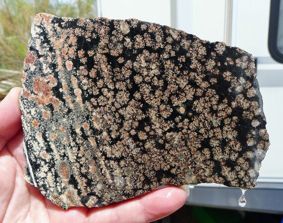 Flower Obsidian Slab Natural Flowering Obsidan Slice | Etsy