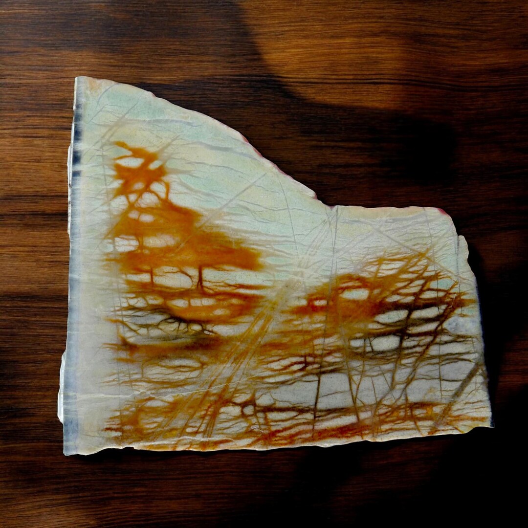 Picasso Marble Slab Natural Picasso Jasper Slab 62x54x6.3mm Unpolished ...