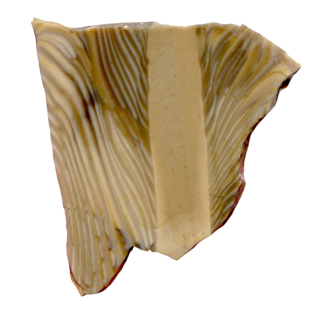 Polish Flint Slab Natural Striped Flint Slice Banded Stone Lapidary ...
