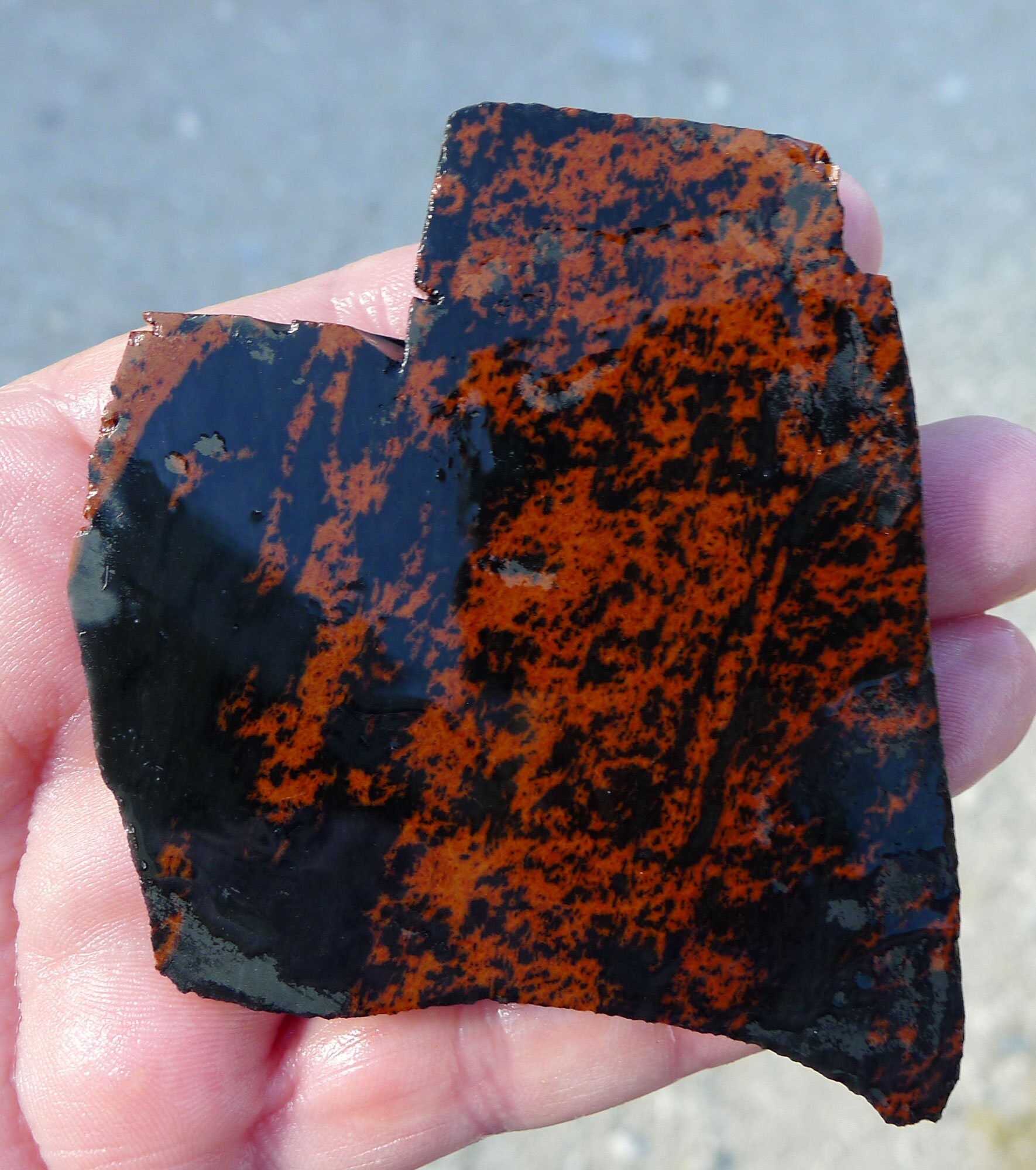 Mahogany Obsidian Slab Glass Buttes Mahogany Obsidian Slice | Etsy