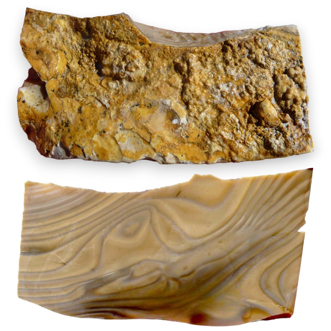 Polish Flint Slab Natural Polish Flint Specimen Lapidary Supply Raw ...