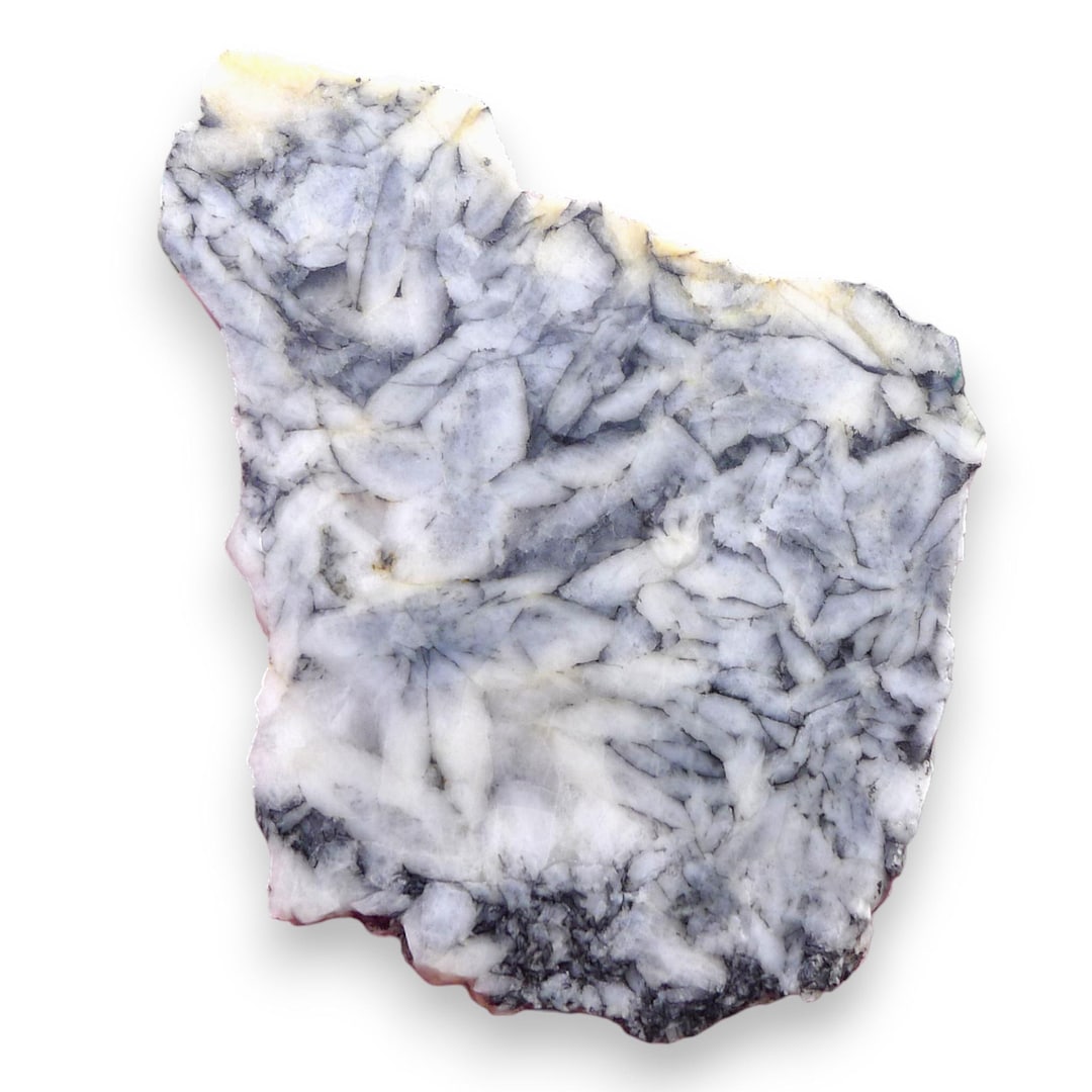 Pinolite Slab Pinolith Slice Black and White Stone Collector Specimen ...