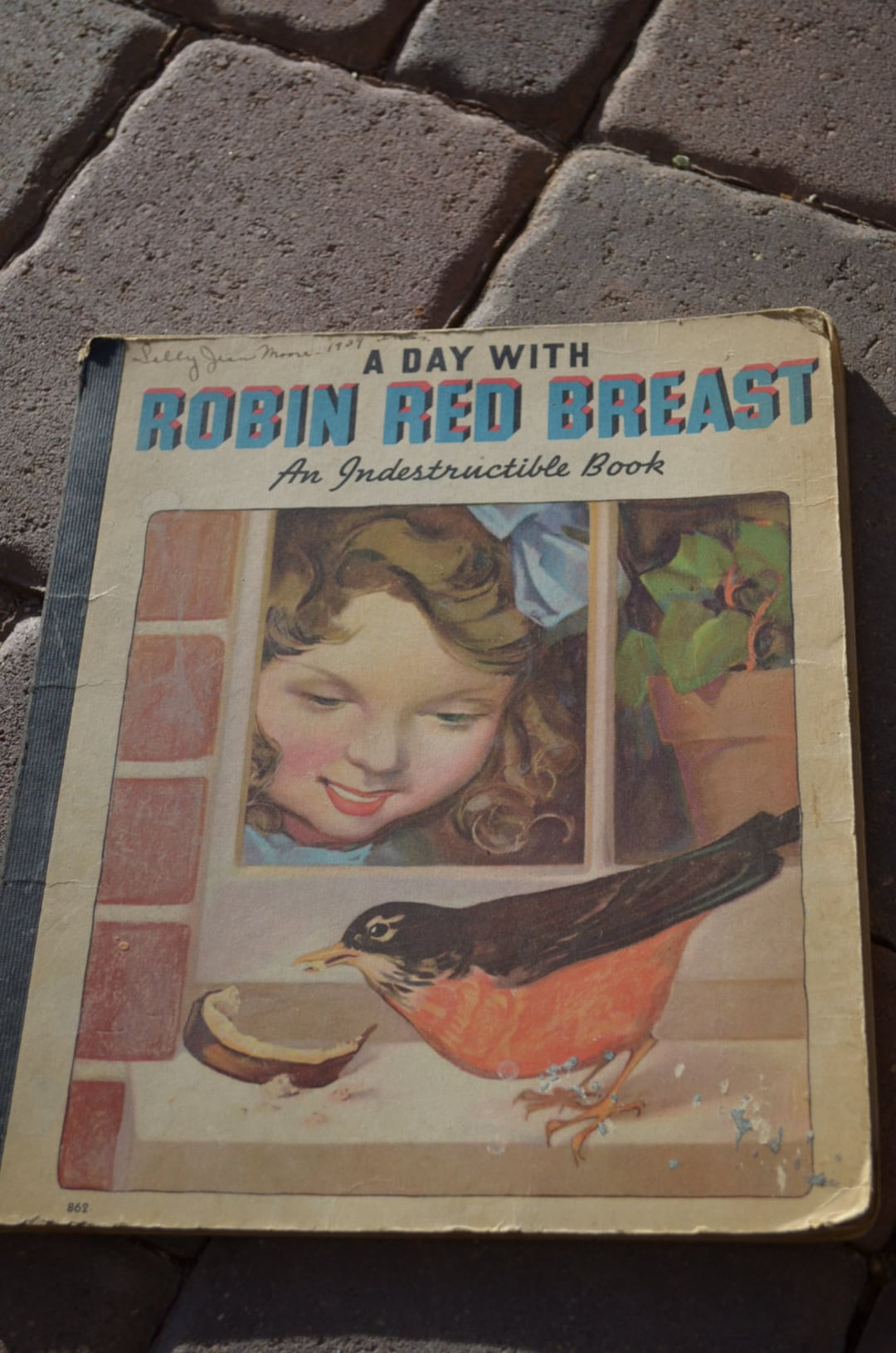 Antique Robin Red Breast Hardback Book, Indestructible 1930s Bird Book ...