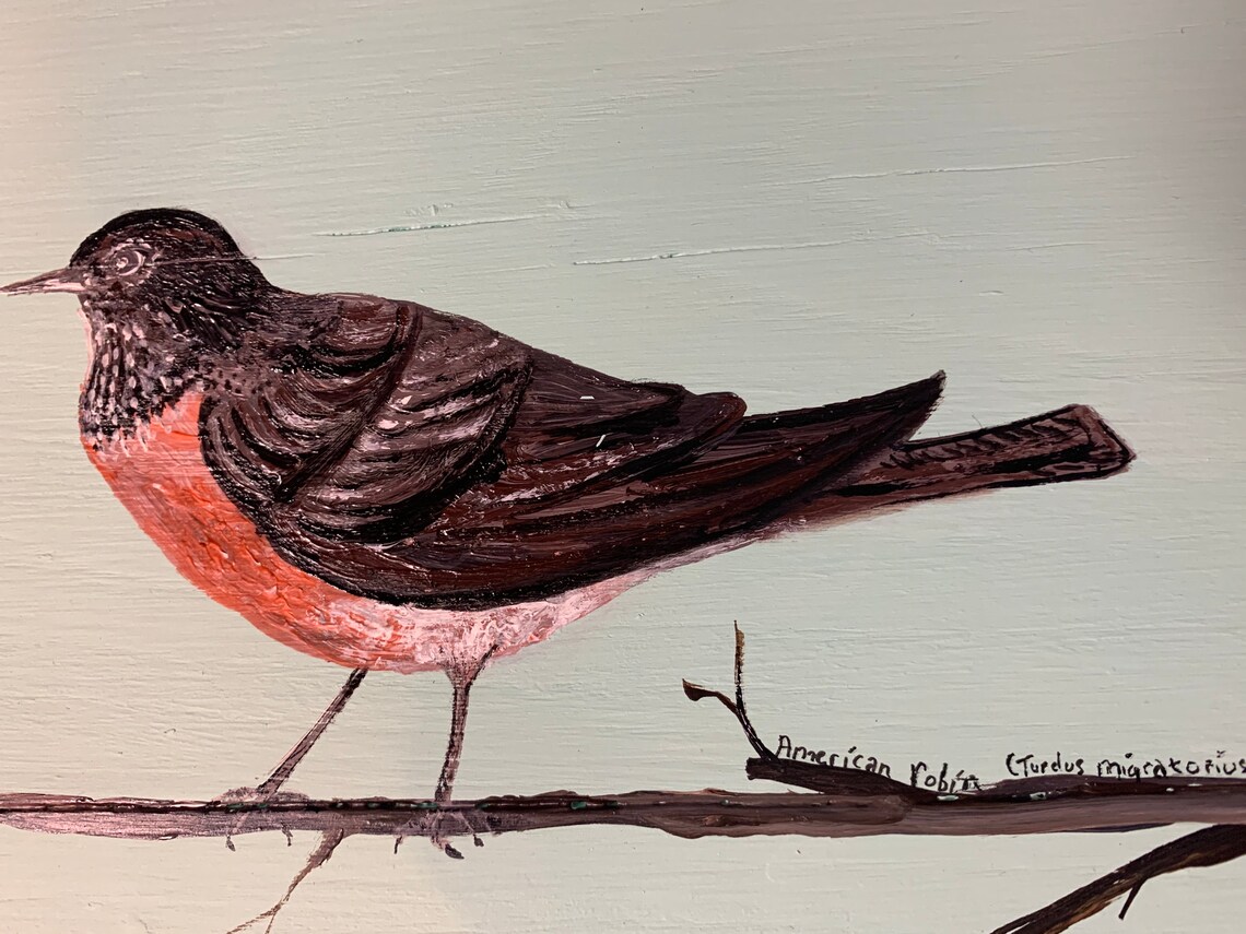 Children's Bird Stool or Footstool Hand Painted by Me: Distressed Teal ...