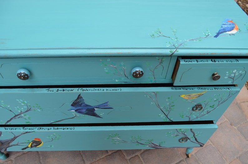Hand Painted by Me Bird Dresser SHIPPING INCLUDED: Backyard Songbirds ...