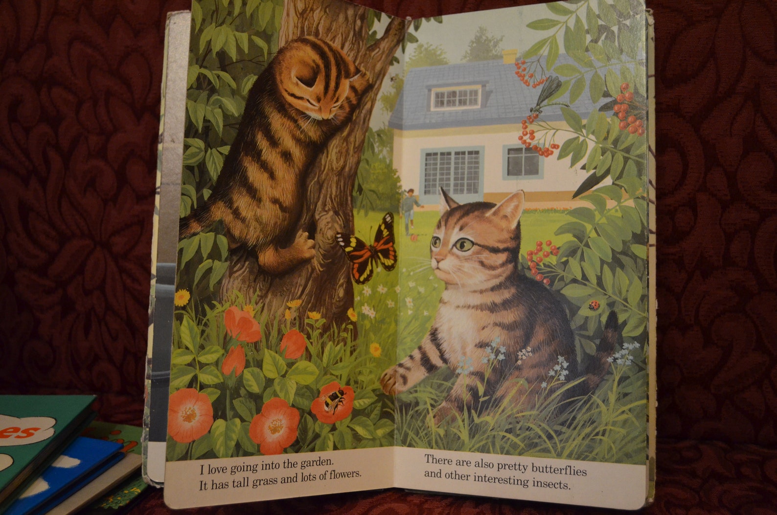 Vintage I Am a Little Cat Book by Francois Crozat Published | Etsy