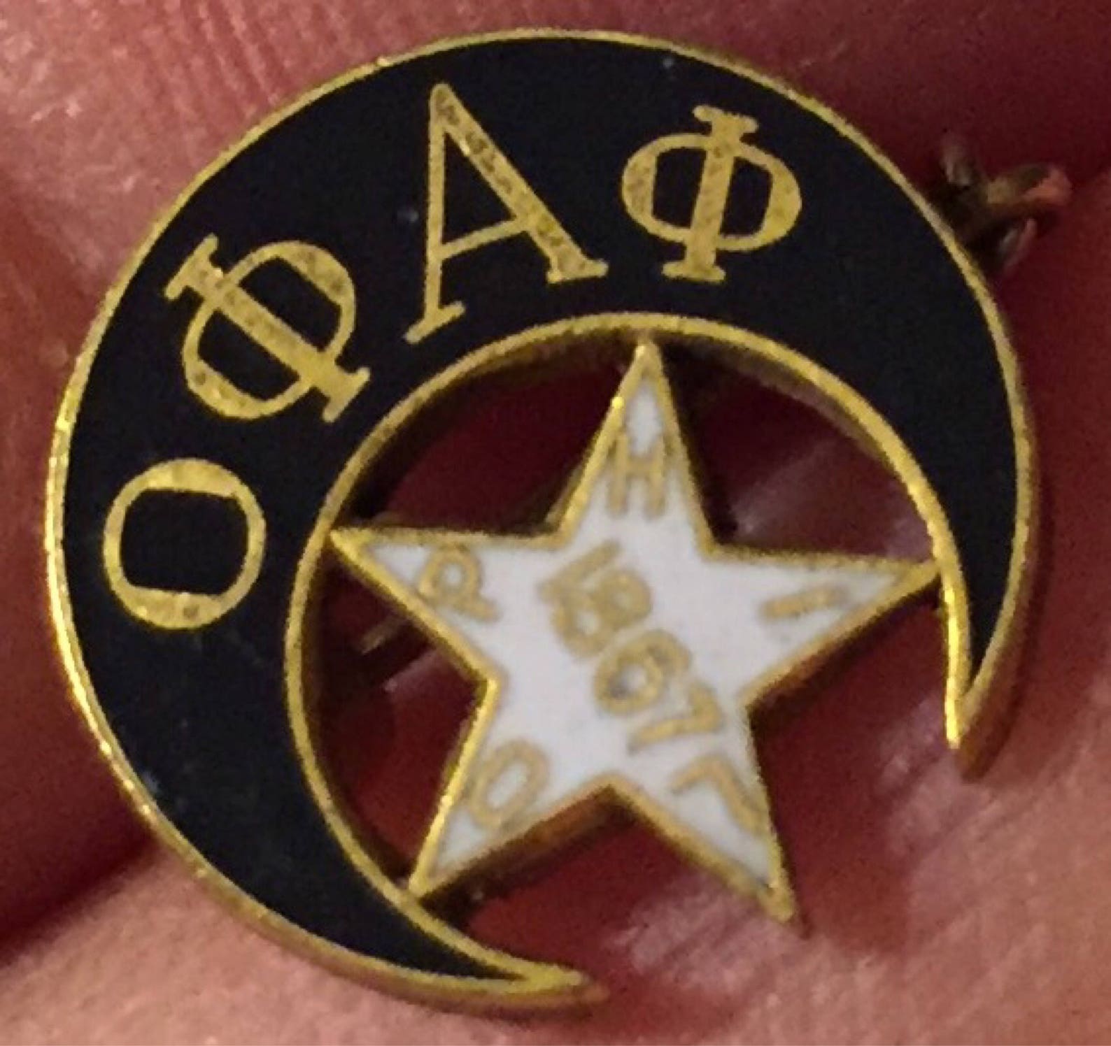 Omega Phi Alpha Phi College Frat Pin School Lapel Pin Gold | Etsy