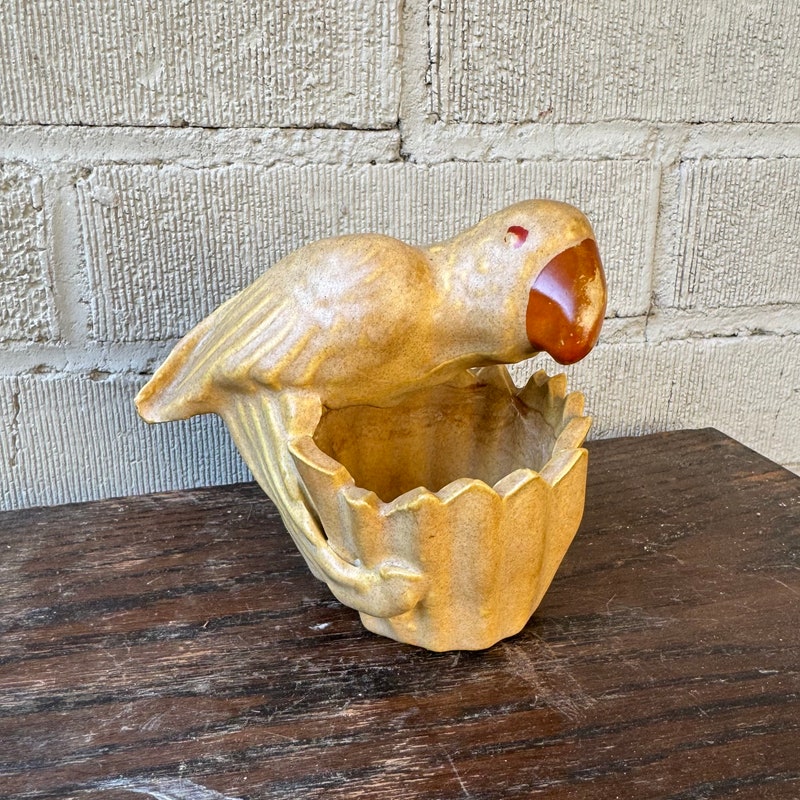 Hanging Parrot Pot - Etsy