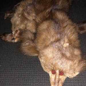 Vintage Sable Stone Marten Mink Fur Pelts Mink Colors Circa | Etsy