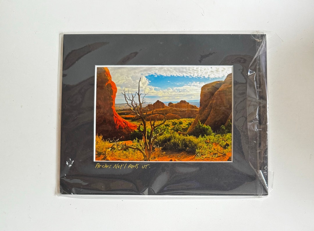 Gorgeous Arches National Park Utah Photo Hand Signed Alan Magazine ...