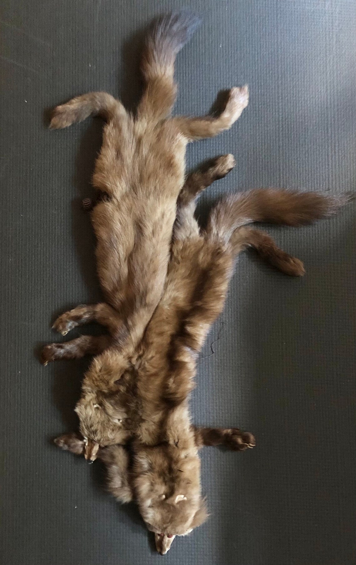 Vintage Sable Stone Marten Mink Fur Pelts Mink Colors Circa | Etsy