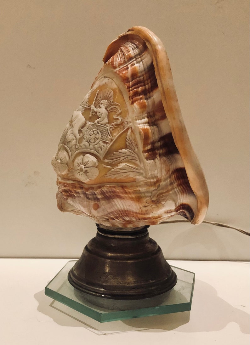 Antique Conch Shell Cameo Lamp Italian Aurora Chariot Mythical Scene ...