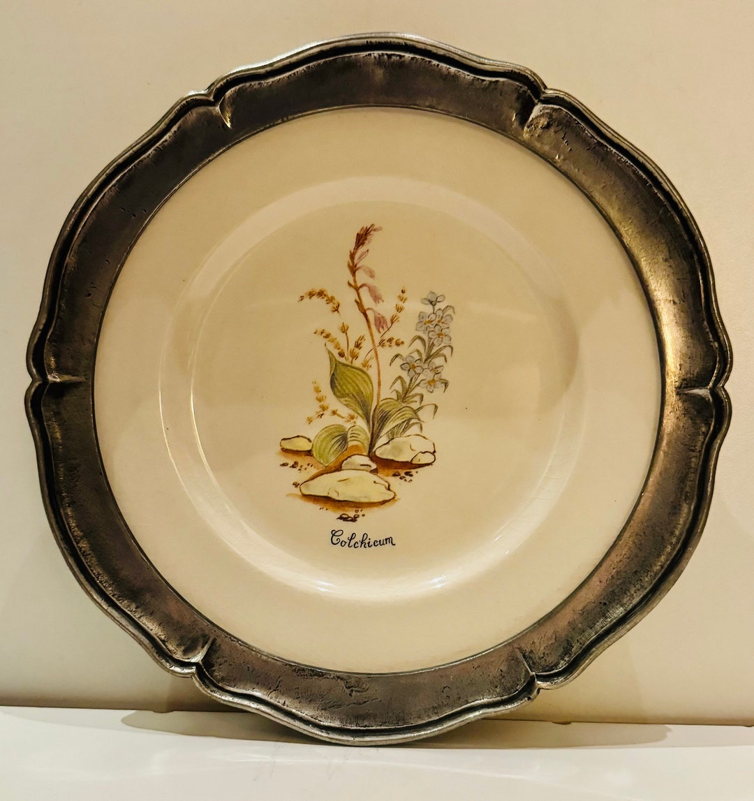Vintage French Botanical Colchicum Saint Clement France Faience Wall ...