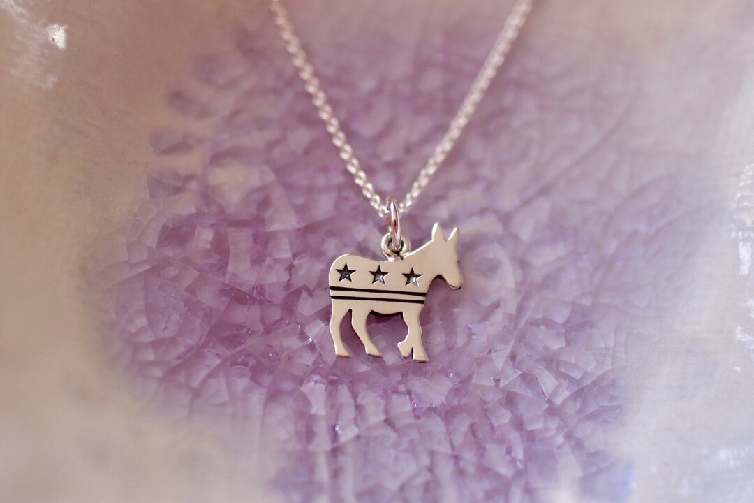 Sterling Silver Democratic Donkey Charm Necklace Donkey Charm Political ...