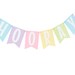 Custom Pastel Rainbow Flag Banner Pastel Rainbow First Birthday Baby ...
