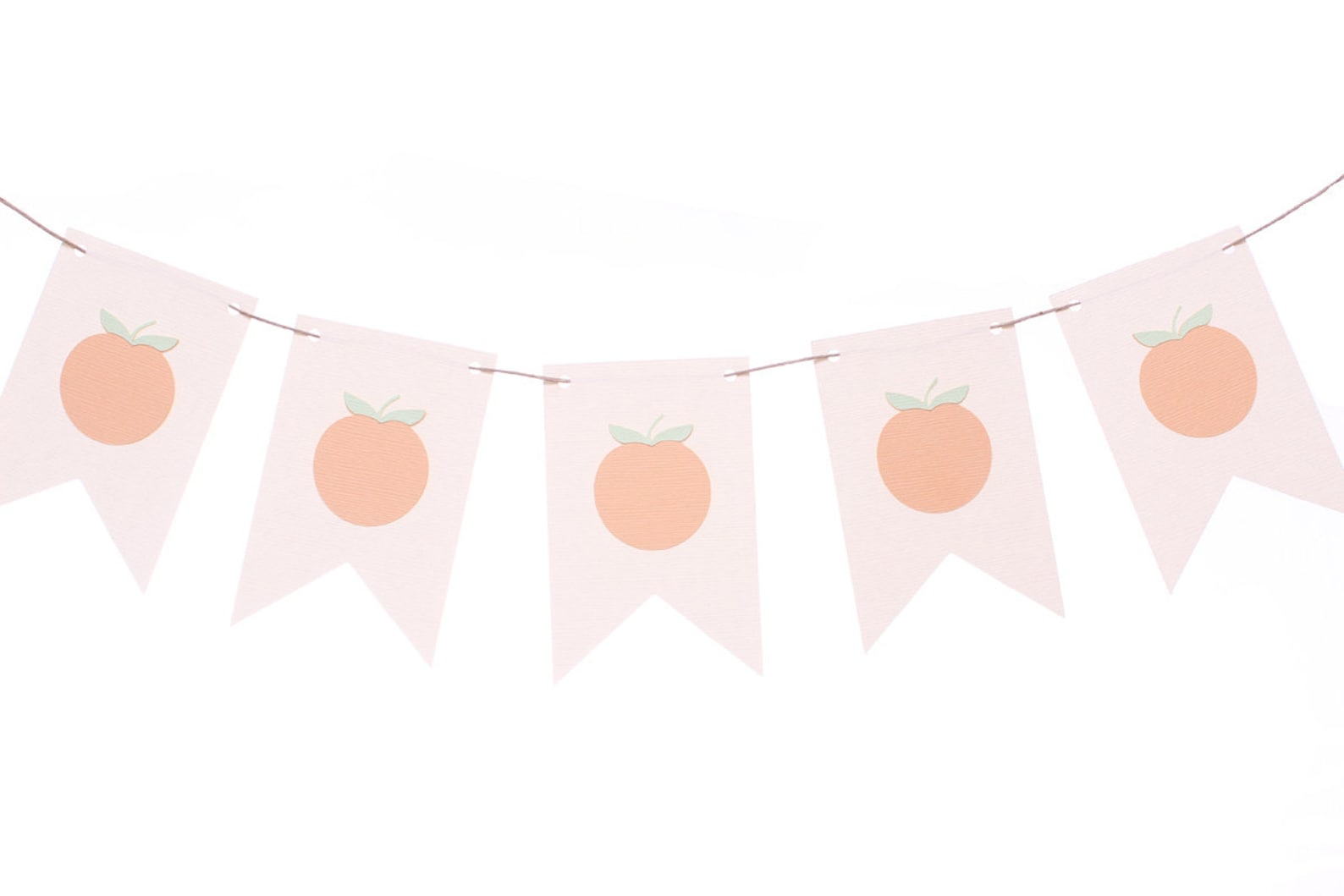 Georgia Peach Flag Banner / Peach Garland - Etsy