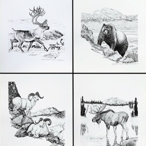 Limited Edition Set of 4 Pen and Ink Wildlife Prints - Alaska's Big ...