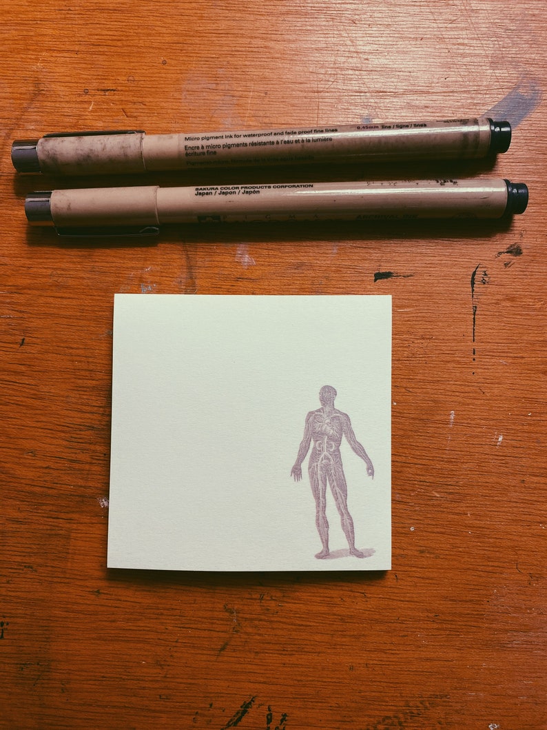 Arterial Man Anatomy Post-its - Etsy