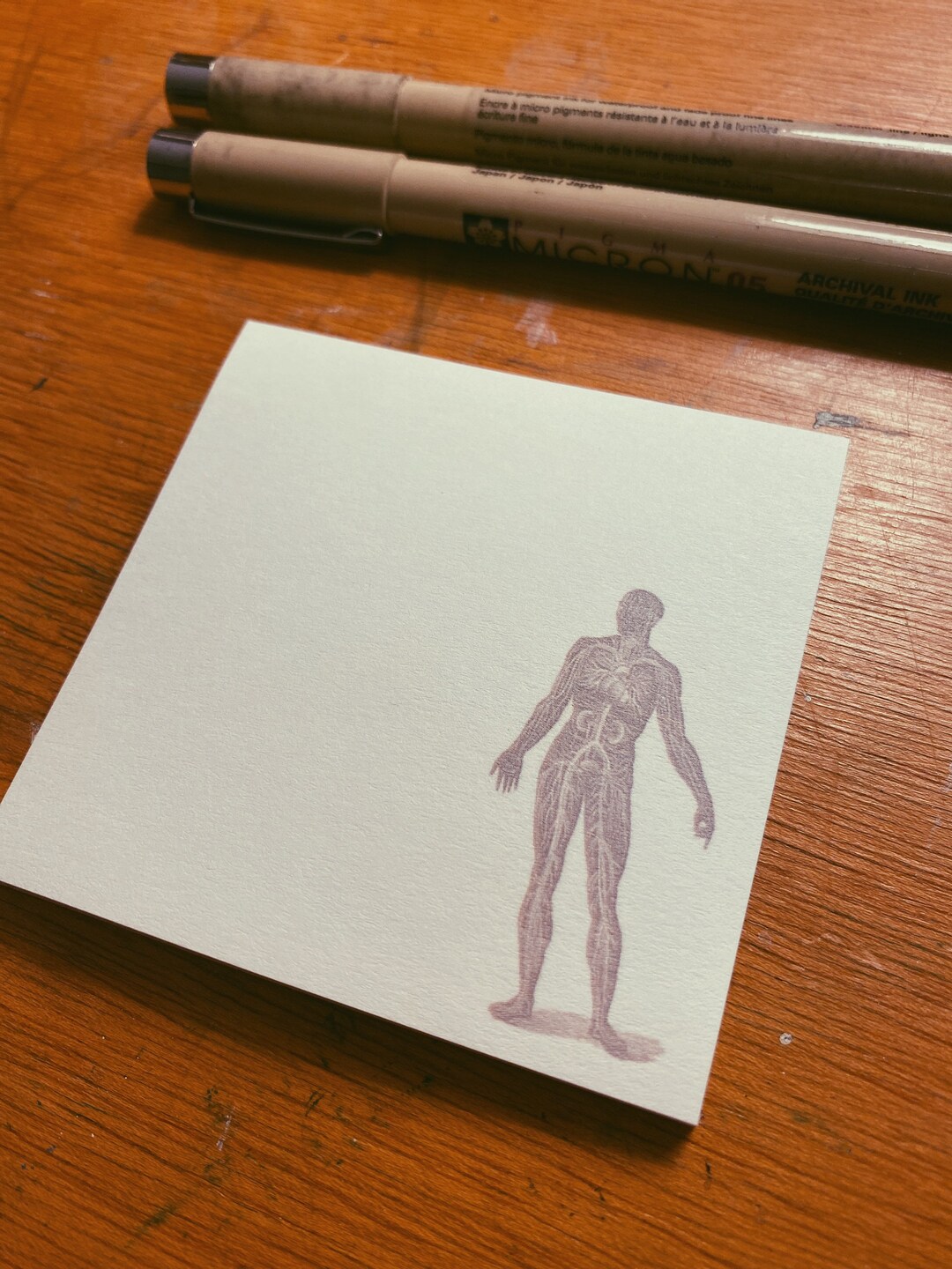 Arterial Man Anatomy Post-its - Etsy