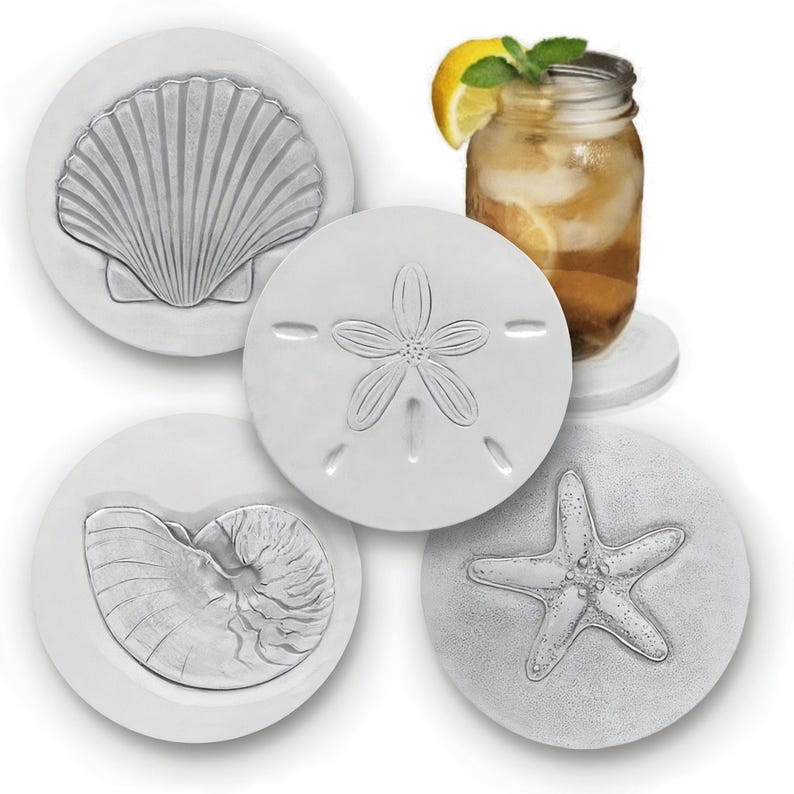 Shell Drink Coasters: Absorbent Ceramic, Nautical Beach Decor, Set of 4 ...