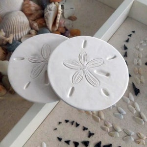 Beach House Shell Coasters That Absorb Moisture - Set of 4 - Your ...