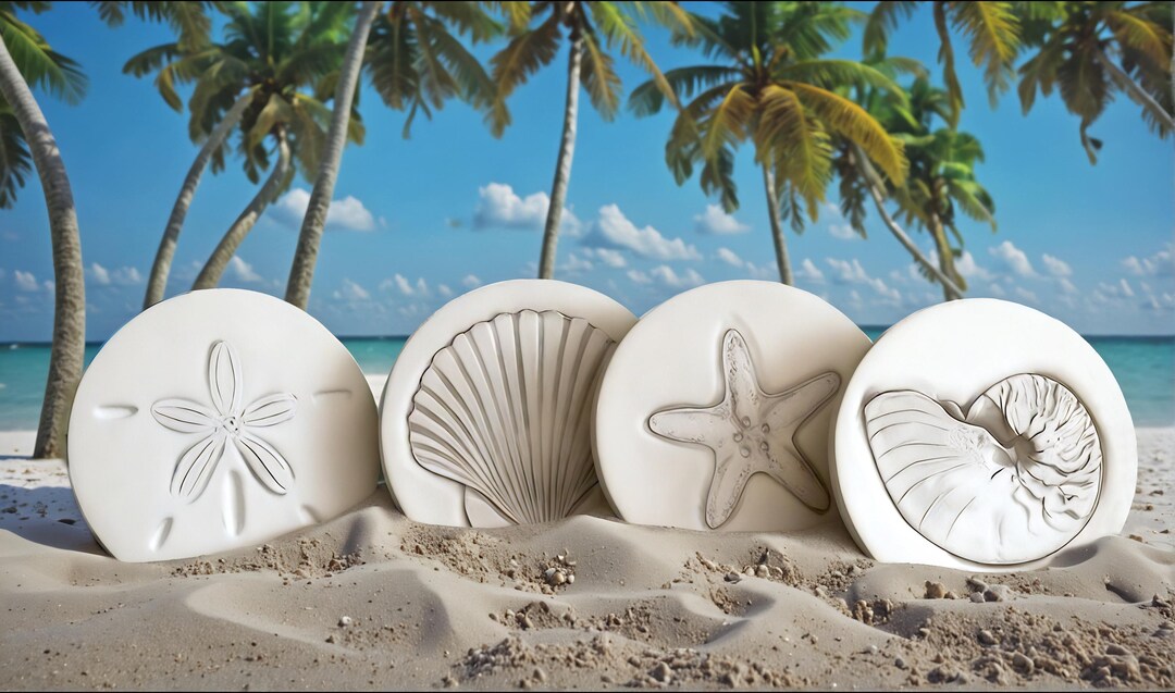 Shells Assorted Absorbent Drink Coasters, Set of 4, Housewarming, Beach ...