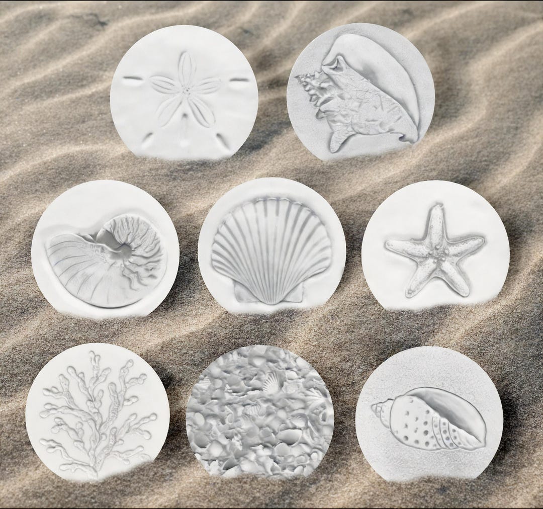 Beach House Shell Coasters - Absorbent Ceramic Drink Coasters, Set of 4 ...