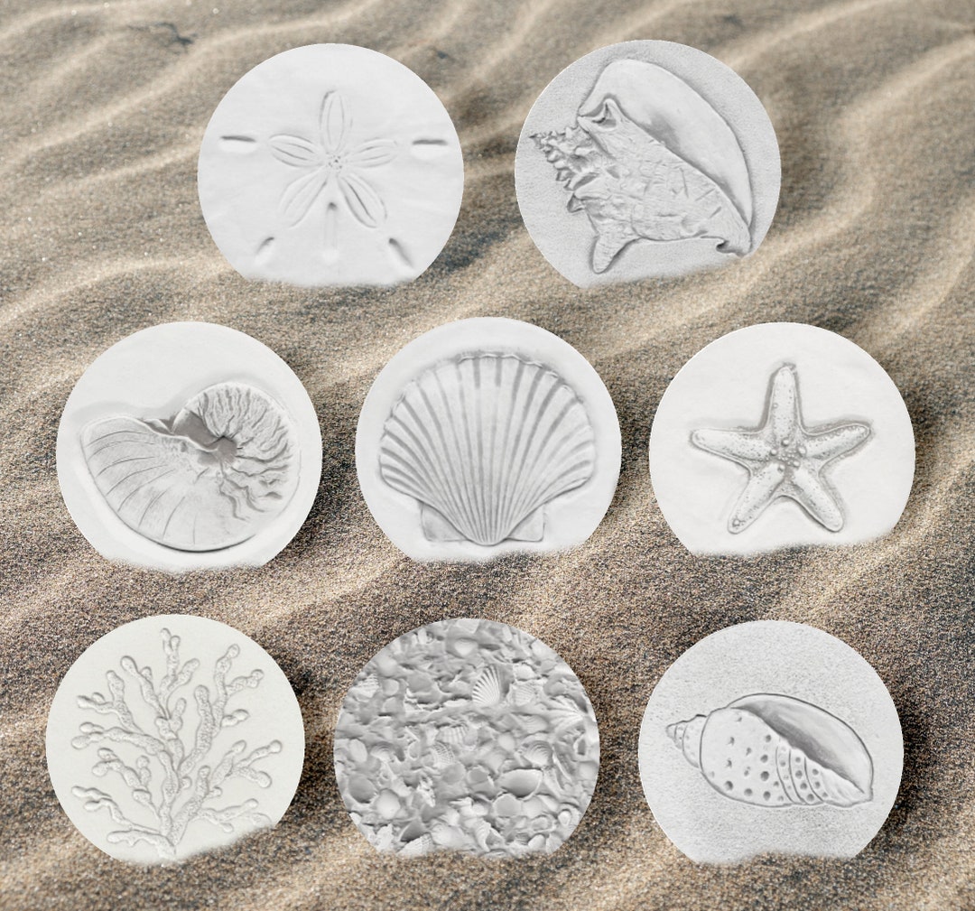 Beach House Shell Coasters That Absorb Moisture Set of 4 Your Choice - Etsy