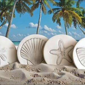 Beach House Shell Coasters That Absorb Moisture - Set of 4 - Your ...