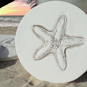 Beach House Shell Coasters That Absorb Moisture - Set of 4 - Your ...