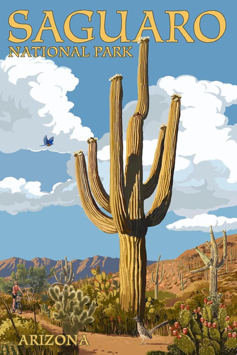 Saguaro Cactus Art Frame Saguaro National Park Poster - Etsy