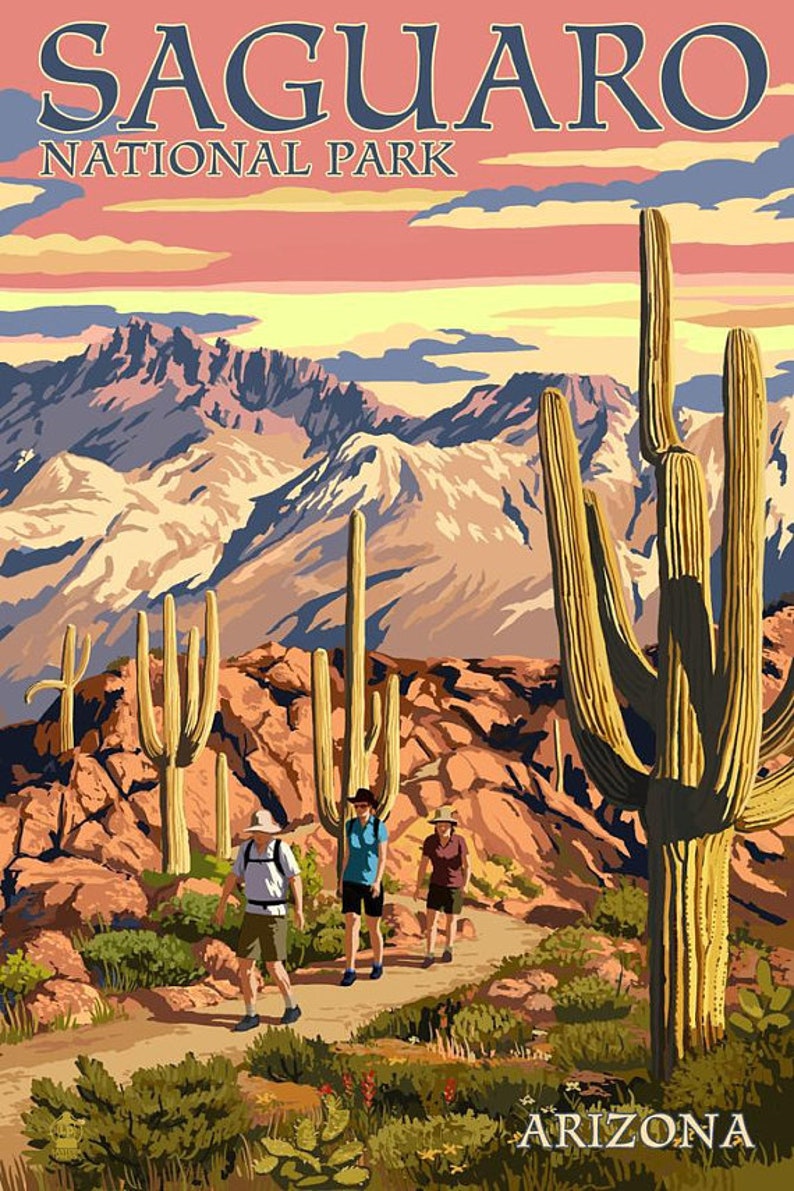 Saguaro Cactus Art Frame Saguaro National Park Poster - Etsy