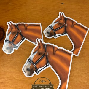 Beautiful Horse Horse Sticker Chestnut Horse Laptop - Etsy
