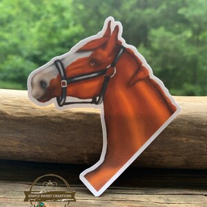 Beautiful Horse Horse Sticker Chestnut Horse Laptop - Etsy